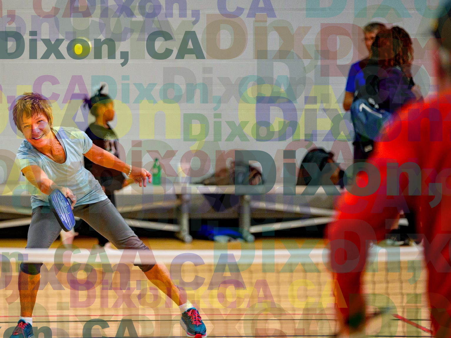 Dixon Pickleball - Where to Play & Learn